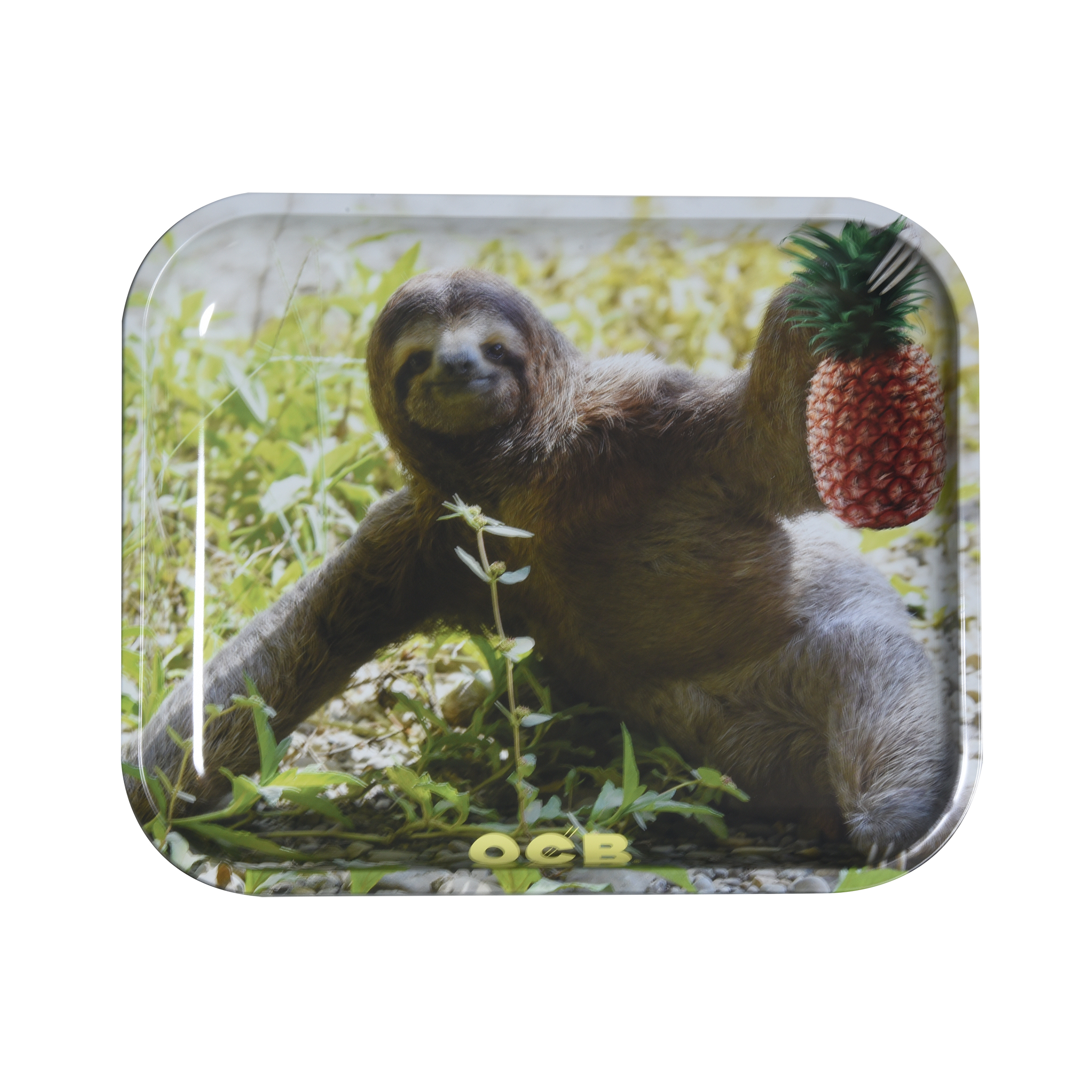 Rolling Tray - Sloth – OCB USA Rolling Paper Store